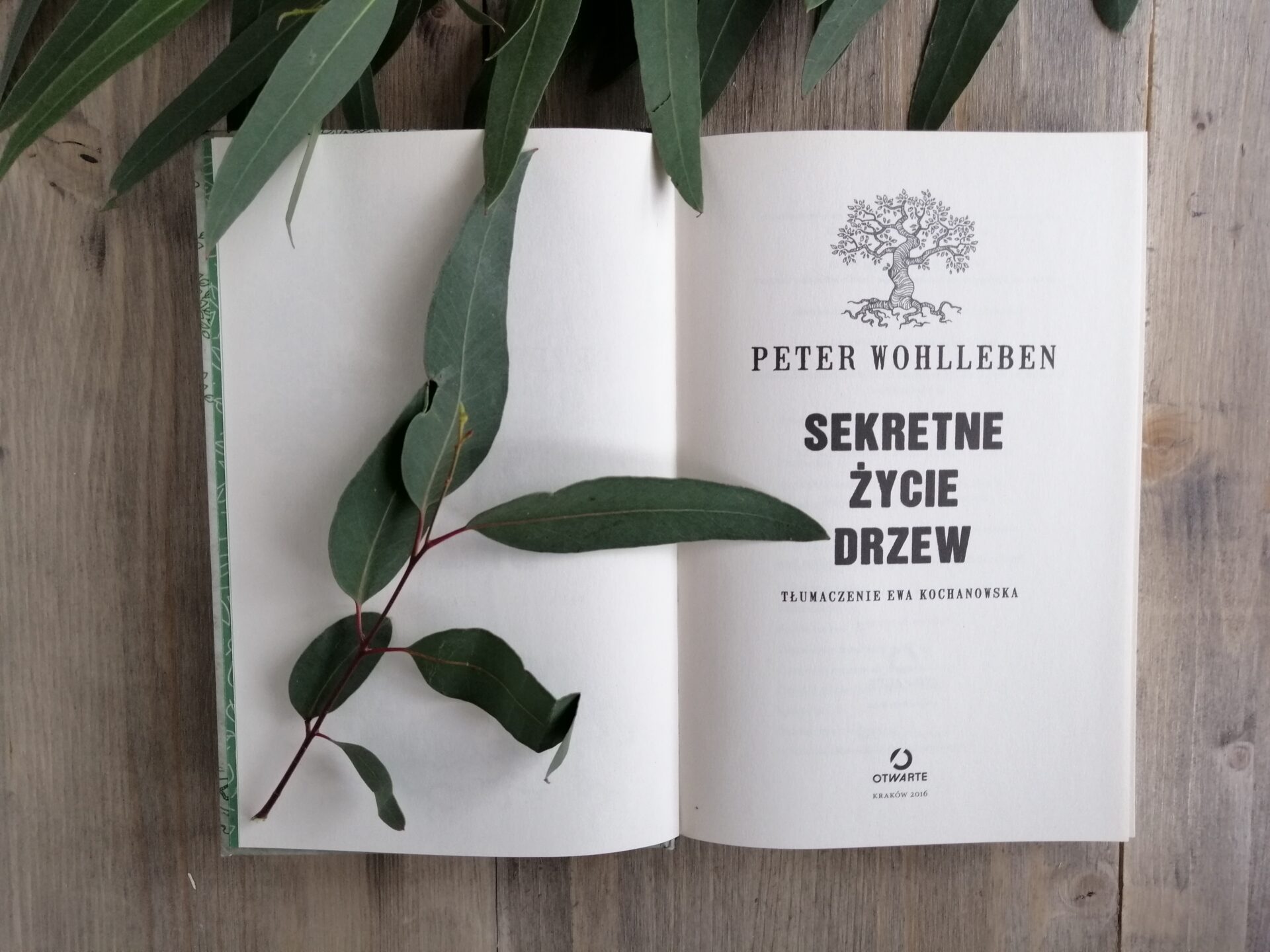 „Sekretne życie drzew” Peter Wohlleben recenzja Przeczytane